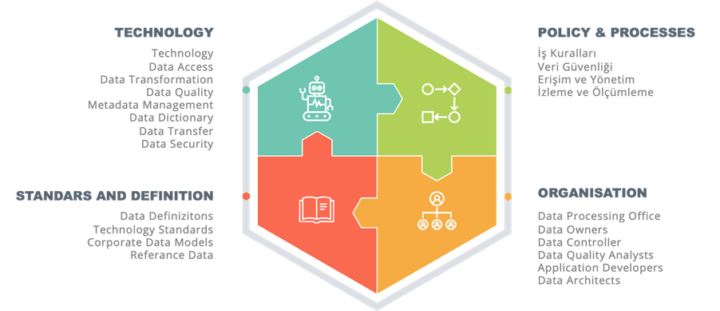DataG Data Governance Service - Forcerta