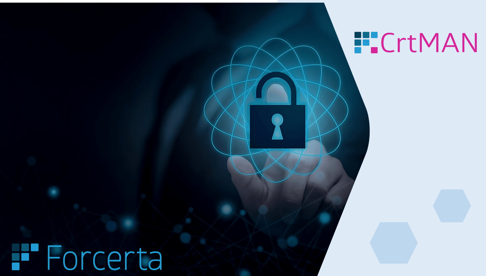 Professional Services - Forcerta